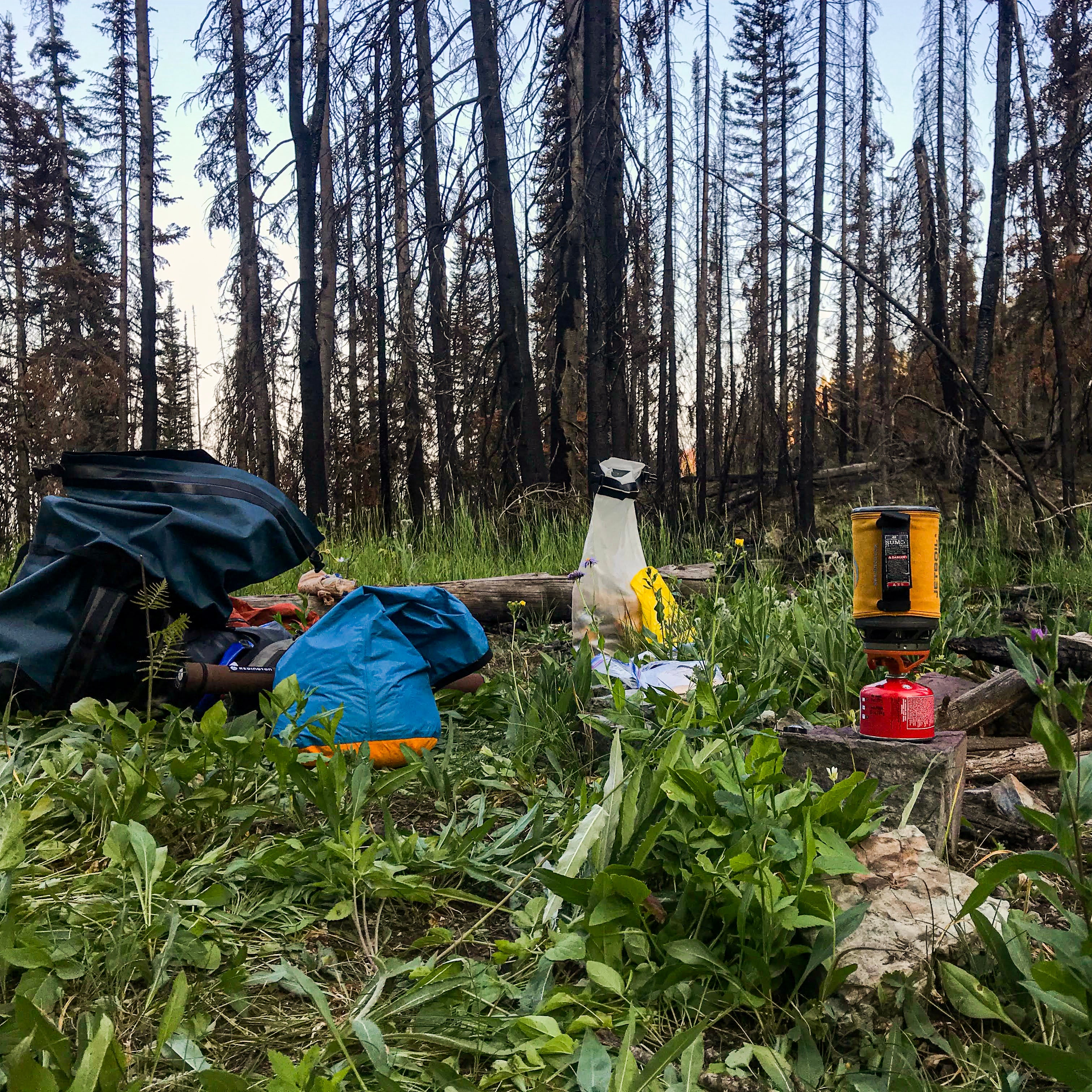 Camp Cooking Demo- July 20th – Down Wind Sports